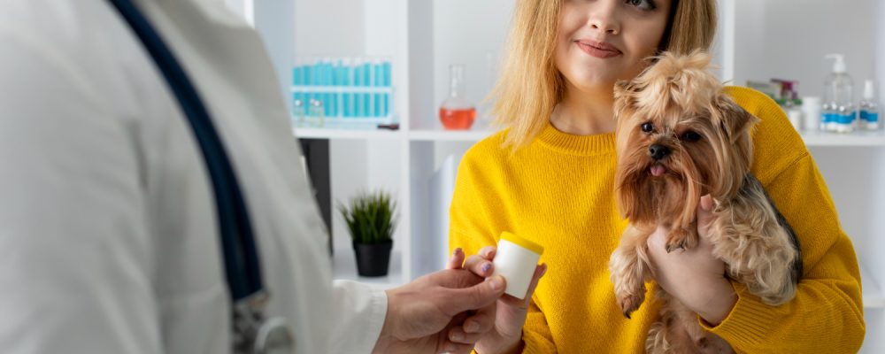 Medicamente pentru balonare la câini – 10 SOLUȚII RAPIDE